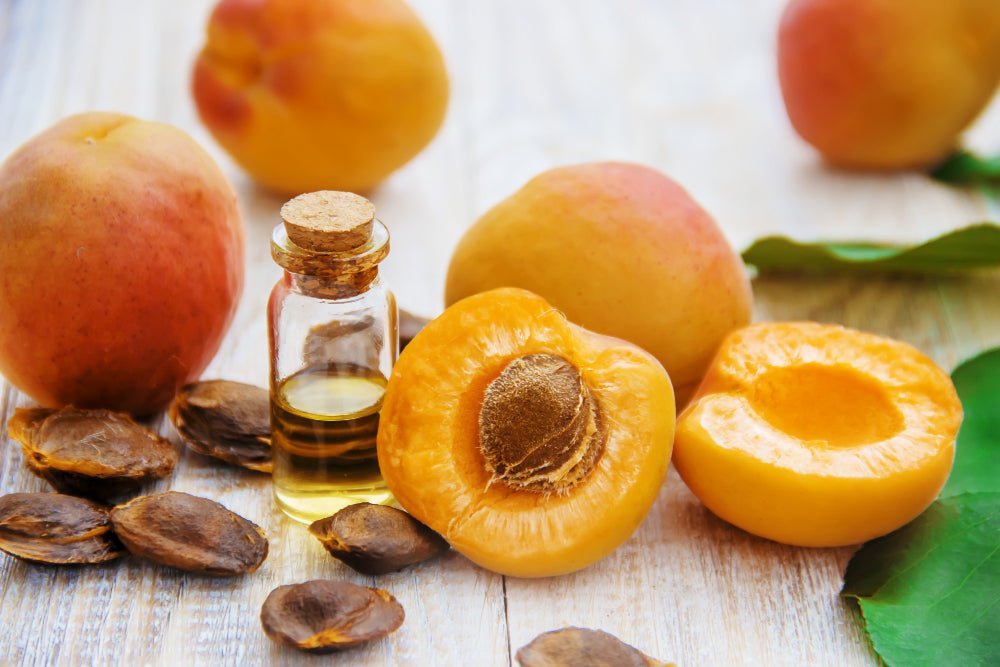 Benefits and Uses of Apricot Oil