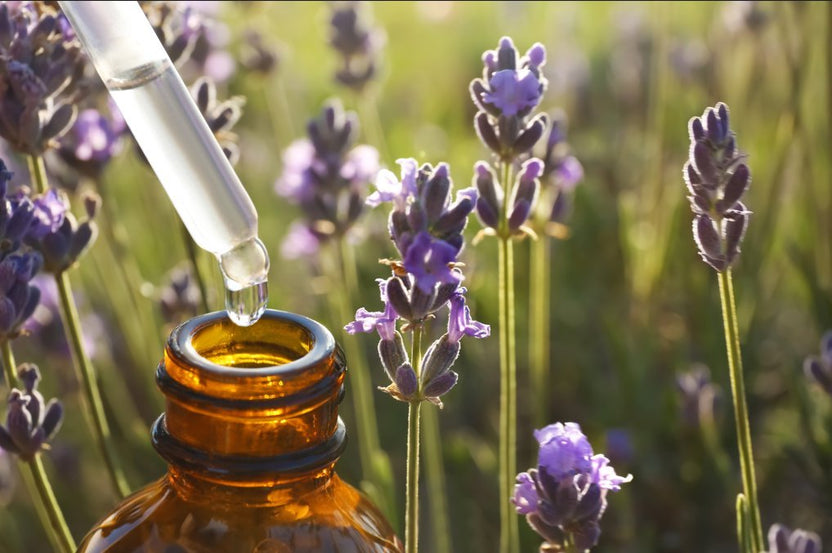 How are Essential Oils Extracted?